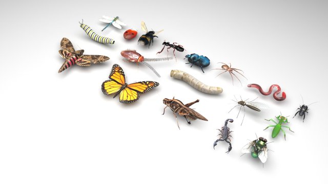 Insects Set 3D Model in Insects 3DExport