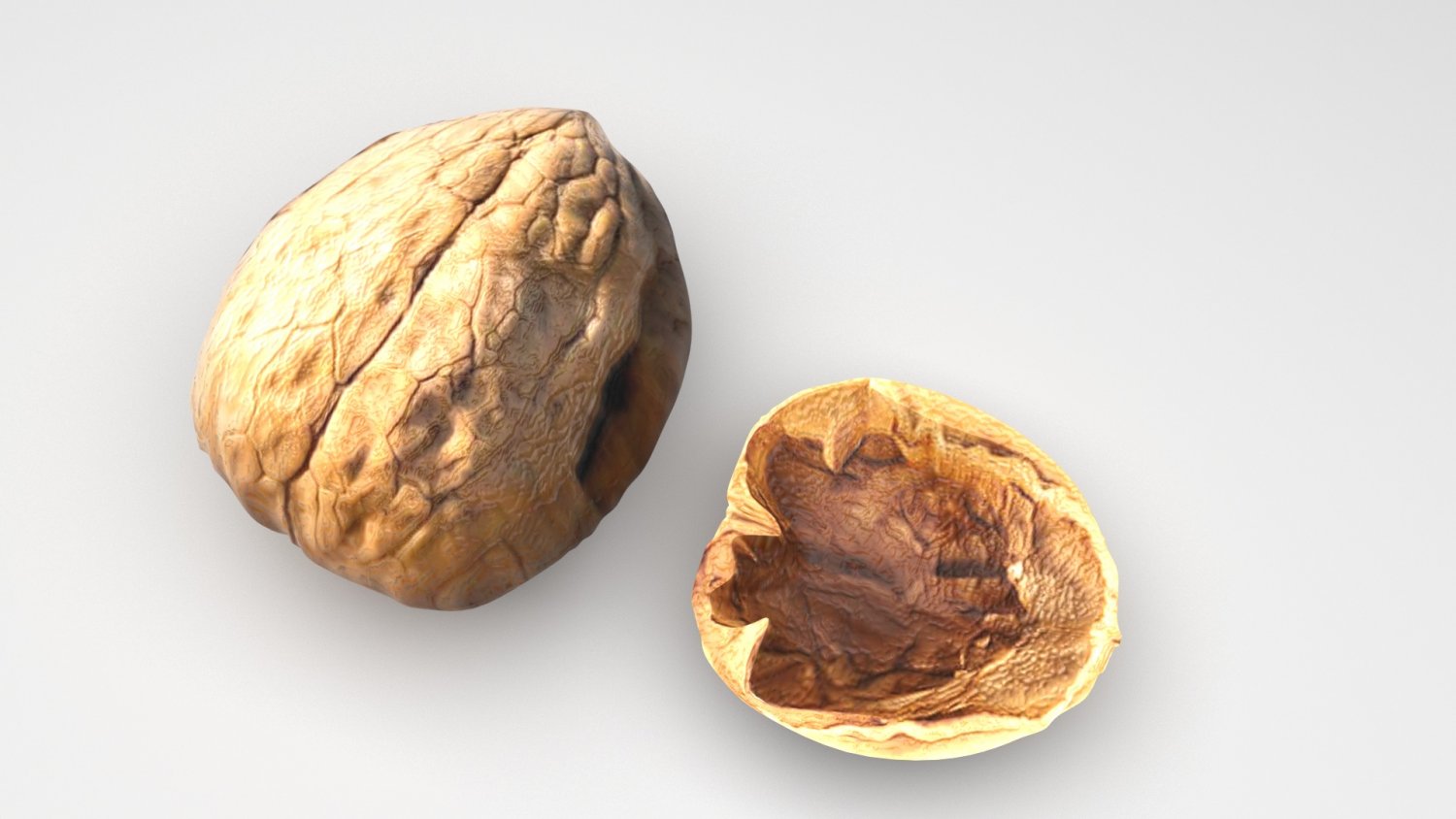 Walnut Shell Half