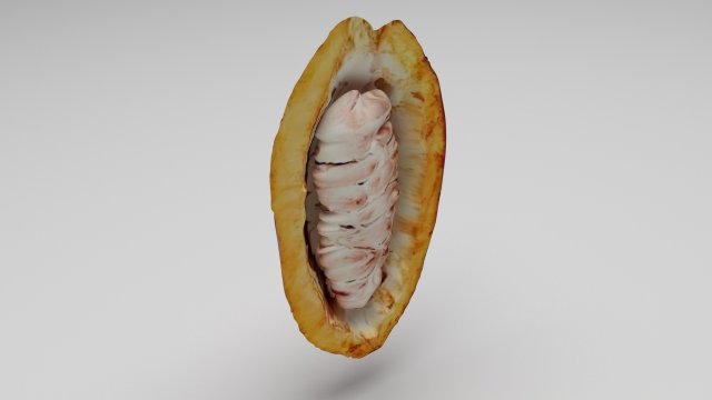 Cocoa Fruits and Beans Set 3D Model in Miscellaneous 3DExport