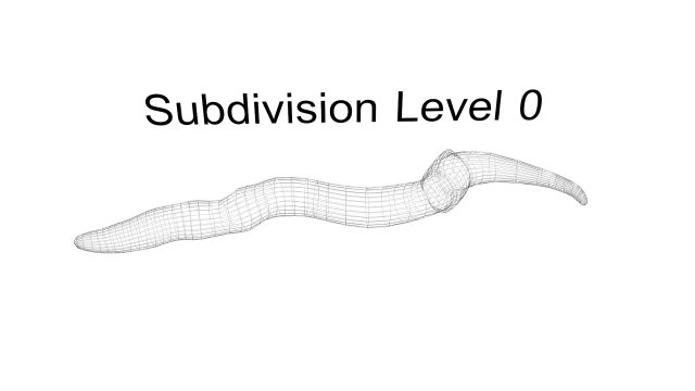 Earthworm 3D Model in Insects 3DExport