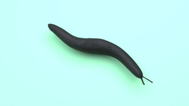Flatworm 3D Model in Insects 3DExport