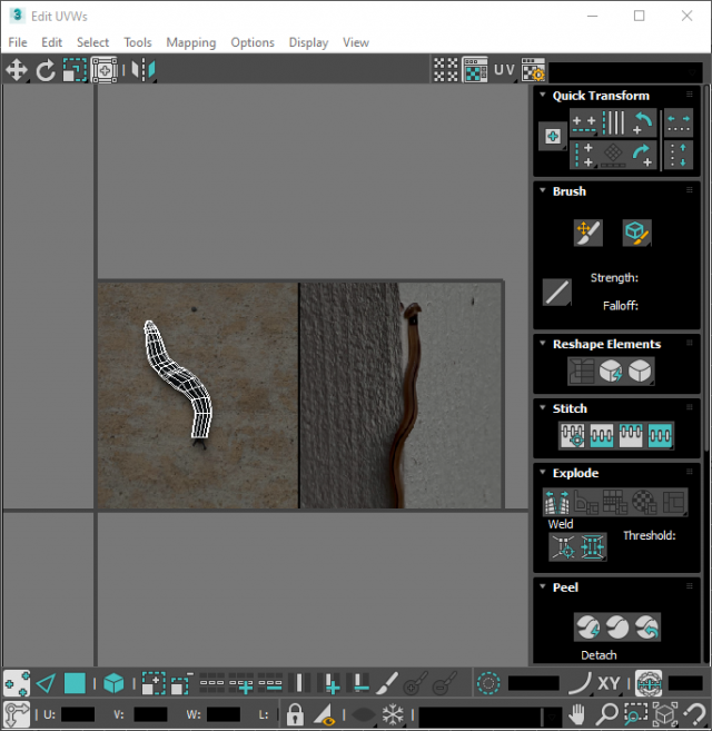 Flatworm 3D Model in Insects 3DExport