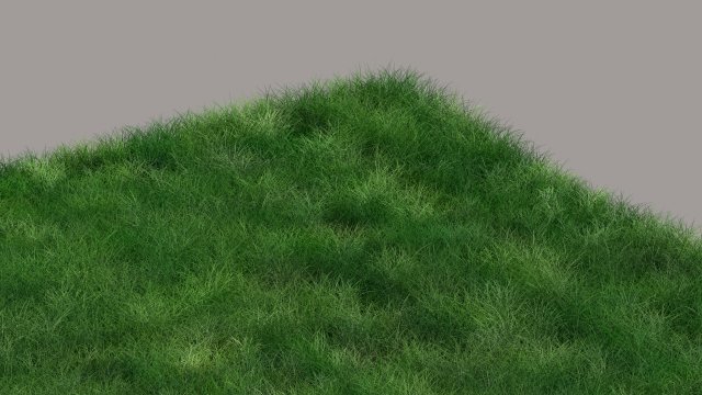 Grass 3D Model in Grass and Ground Cover 3DExport