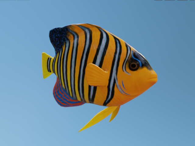 AngelFish Free 3D Model in Fish 3DExport