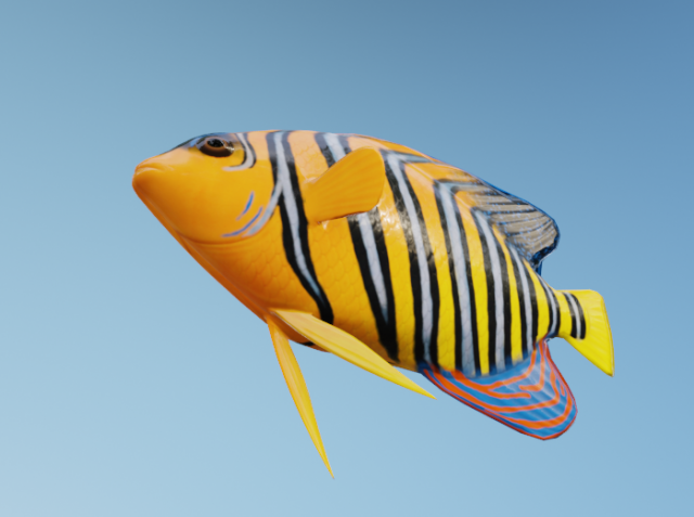 AngelFish Free 3D Model in Fish 3DExport