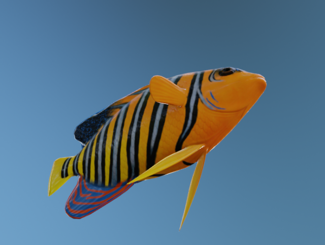 AngelFish Free 3D Model in Fish 3DExport