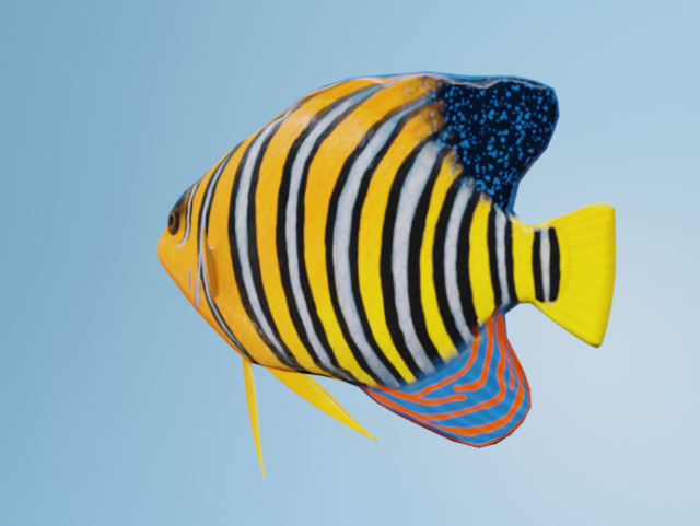 AngelFish Free 3D Model in Fish 3DExport