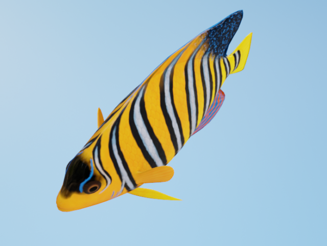 AngelFish Free 3D Model in Fish 3DExport