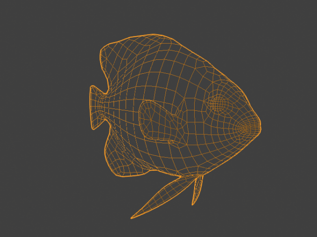 AngelFish Free 3D Model in Fish 3DExport