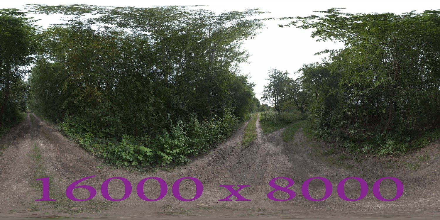 Dirt Path 3D Model in HDRI 3DExport