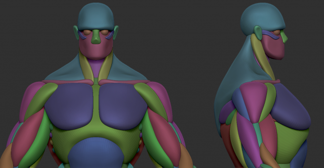 Strong character base mesh 3D Model in Anatomy 3DExport