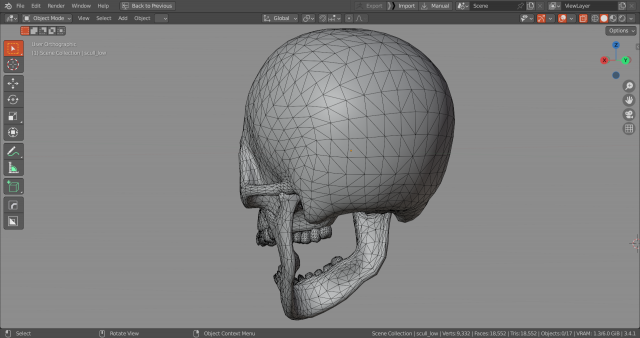 Scull 3D Model in Anatomy 3DExport