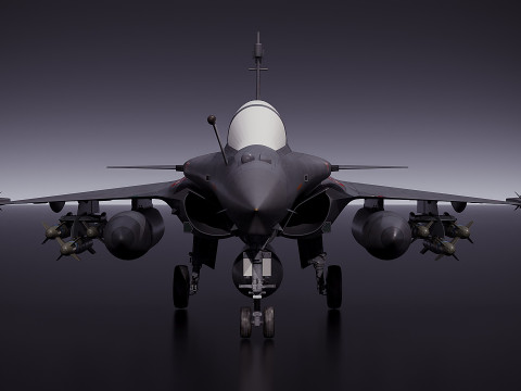 Avión de combate Dassault Rafale Modelo 3D in Luchador 619660 | 3DExport