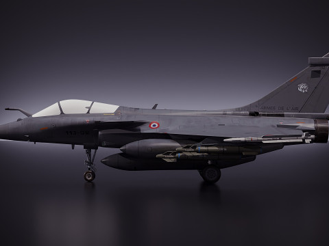 Avión de combate Dassault Rafale Modelo 3D in Luchador 619660 | 3DExport