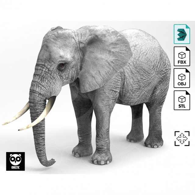 Wild Animal Pack - Rigged - Animated 3D Model in Wildlife 3DExport