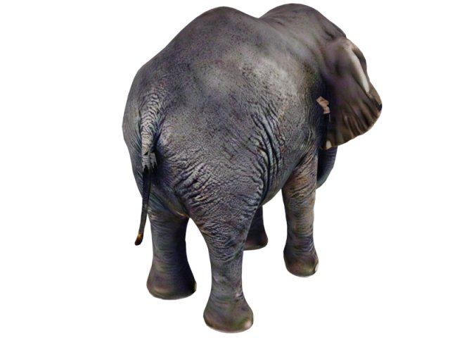 Baby elephant 3D Model in Elephant 3DExport