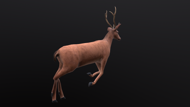 Animated deer stag elk 3D Model in Deer 3DExport