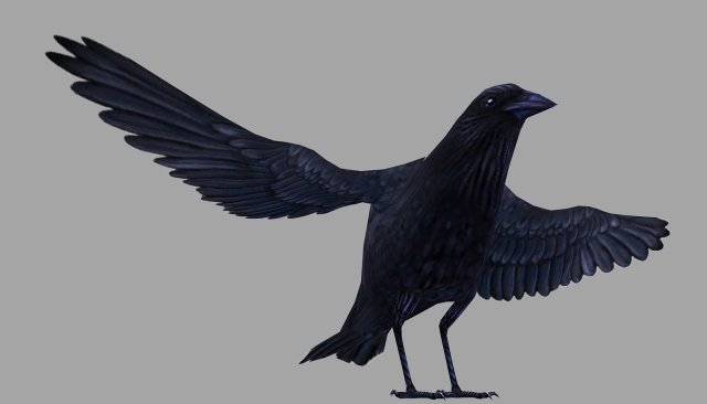 Animated low poly crow 3D Model in Bird 3DExport