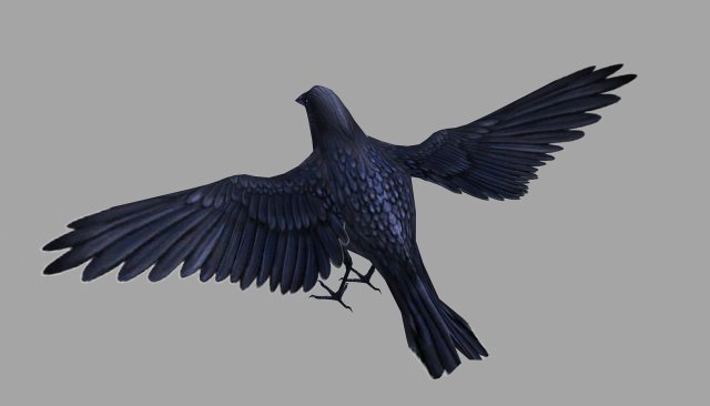 Animated low poly crow 3D Model in Bird 3DExport