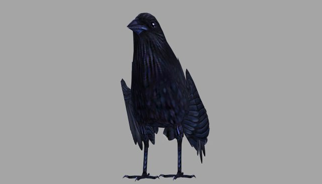 Animated low poly crow 3D Model in Bird 3DExport