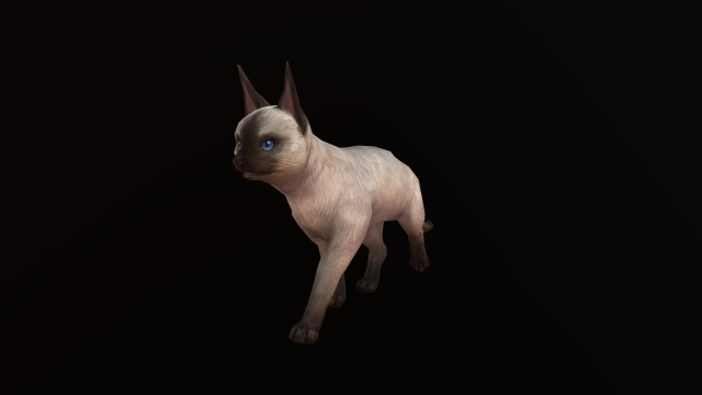 Animated siamese cat 3D Model in Cat 3DExport