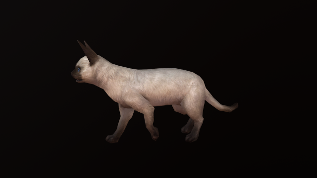 Animated siamese cat 3D Model in Cat 3DExport