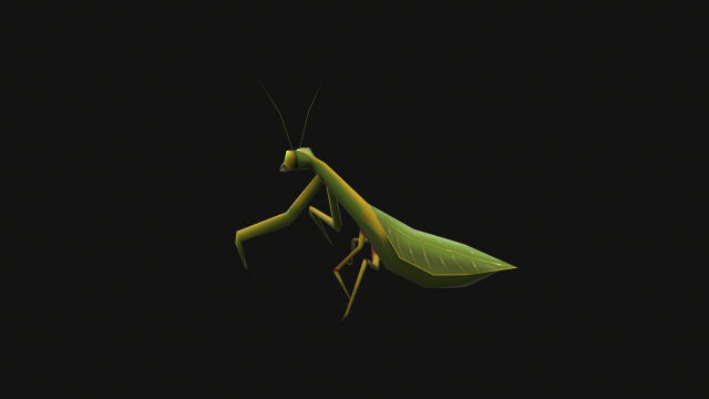 Animated Mantis 3D Model in Insects 3DExport