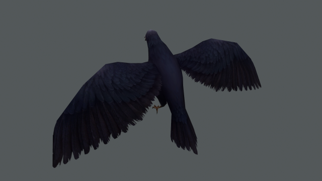 Low-poly animated crow 3D Model in Bird 3DExport