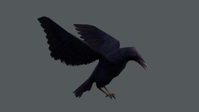 Low-poly animated crow 3D Model in Bird 3DExport