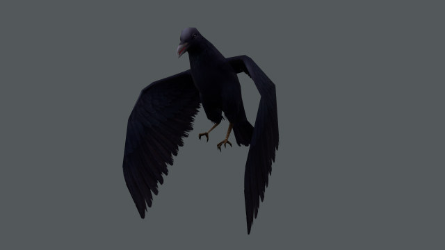 Low-poly animated crow 3D Model in Bird 3DExport