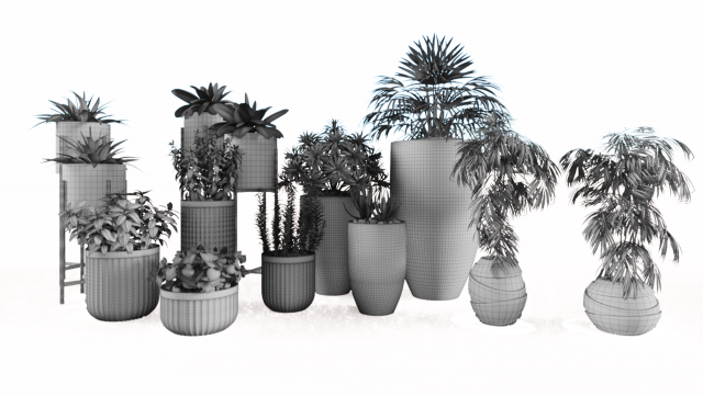 Decorative plants 3D Model in Small Plants 3DExport