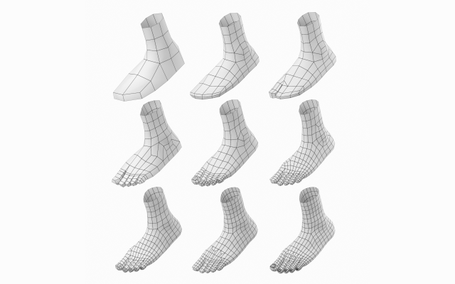 Foot Base Mesh Kit 3D Model in Anatomy 3DExport