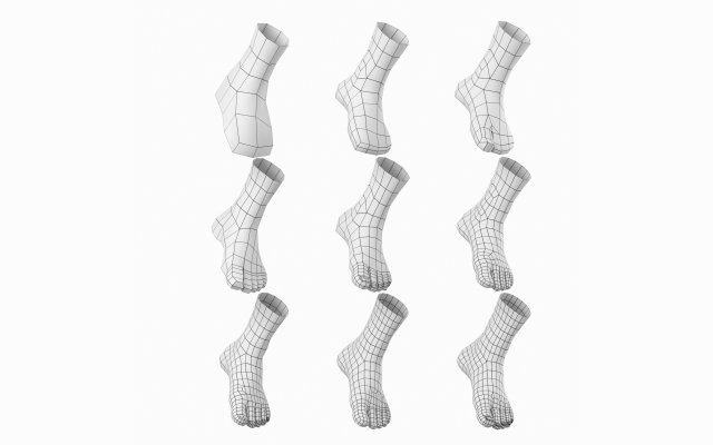 Foot Base Mesh Kit 3D Model in Anatomy 3DExport