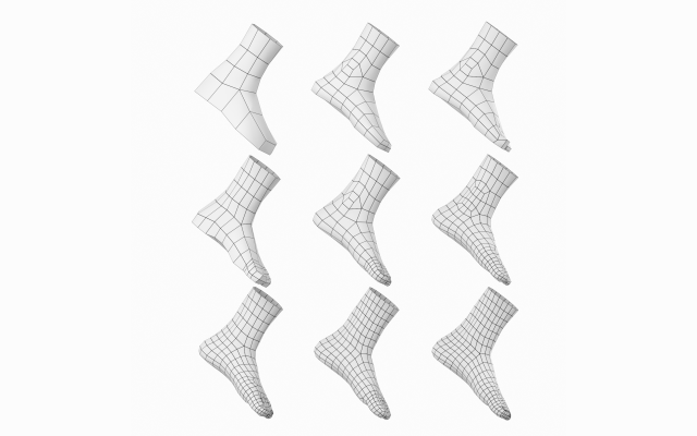 Foot Base Mesh Kit 3D Model in Anatomy 3DExport