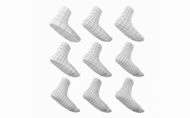Foot Base Mesh Kit 3D Model in Anatomy 3DExport