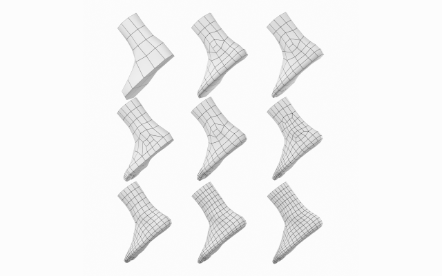 Foot Base Mesh Kit 3D Model in Anatomy 3DExport