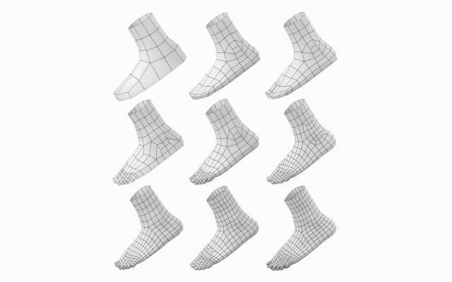 Foot Base Mesh Kit 3D Model in Anatomy 3DExport