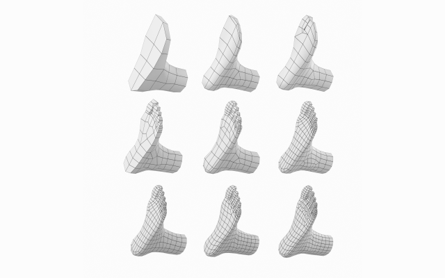 Foot Base Mesh Kit 3D Model in Anatomy 3DExport