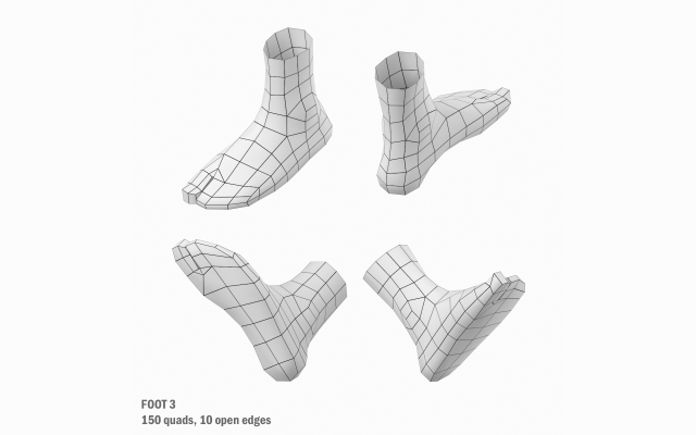 Foot Base Mesh Kit 3D Model in Anatomy 3DExport
