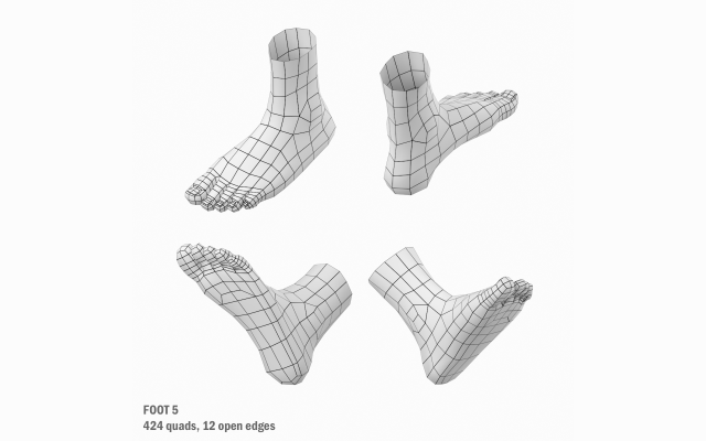 Foot Base Mesh Kit 3D Model in Anatomy 3DExport