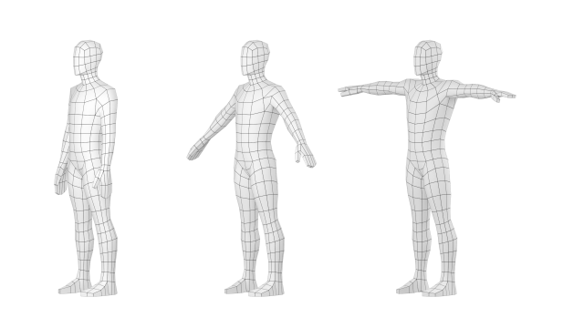 Natural Male in 3 Modeling Poses Base Mesh 3D Model in Man 3DExport