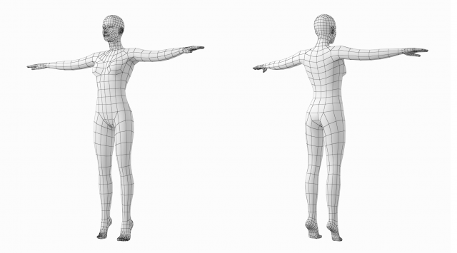 Natural Female and Male in T-Pose Base Mesh 3D Model in Woman 3DExport
