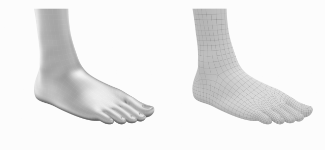 Human Feet In Standing Position Base Mesh 3D Model in Anatomy 3DExport