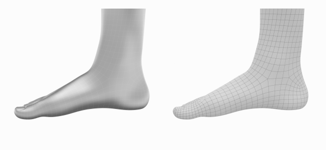 Human Feet In Standing Position Base Mesh 3D Model in Anatomy 3DExport