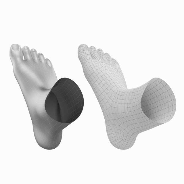 Human Feet In Standing Position Base Mesh 3D Model in Anatomy 3DExport