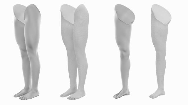 Female Legs Anatomical Base Mesh 3D Model in Woman 3DExport