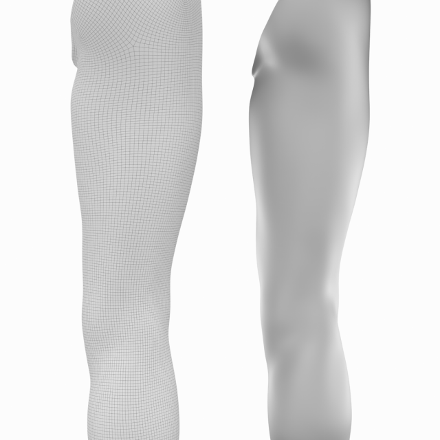 Female Legs Anatomical Base Mesh 3D Model in Woman 3DExport
