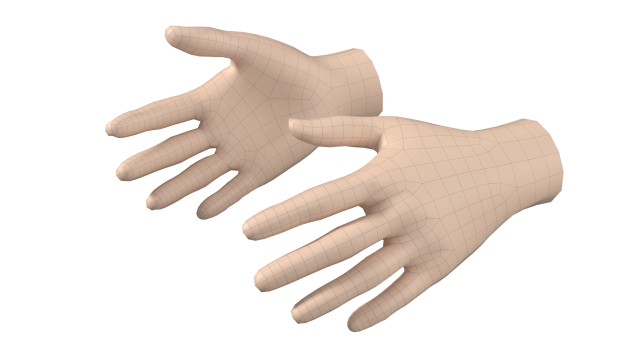 3d Hand Mesh