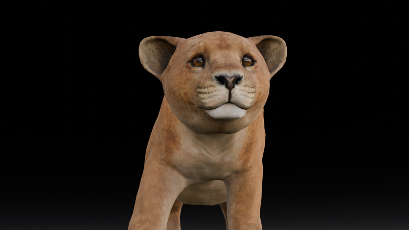 Baby Lion Animated 3D Model in Wildlife 3DExport