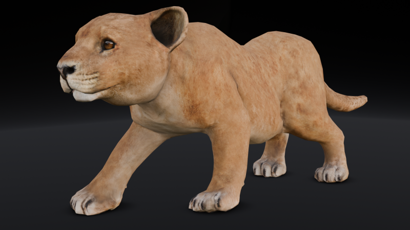 Baby Lion Animated 3D Model in Wildlife 3DExport